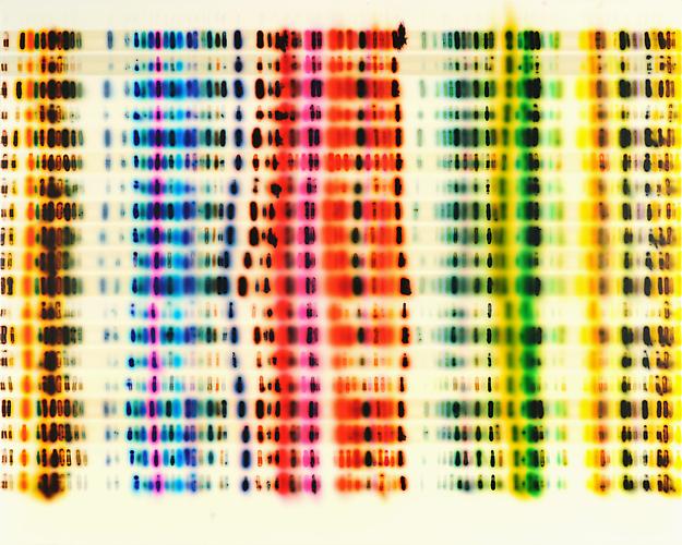 Jaq ChartierJaq Chartier, Large Spectrum Chart, 2010. Acrylic, stains ...