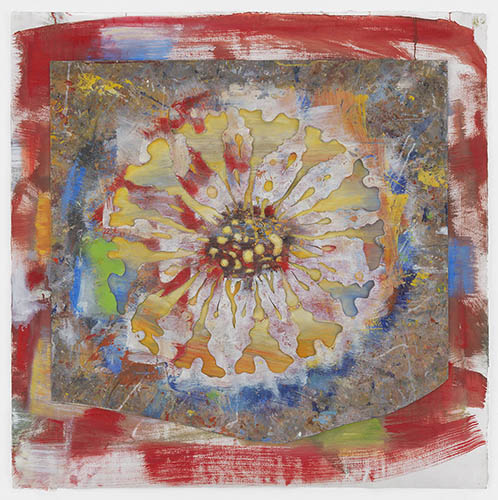 X-Ray Vision: Mary Jones discusses her work with Brenda Zlamany ...