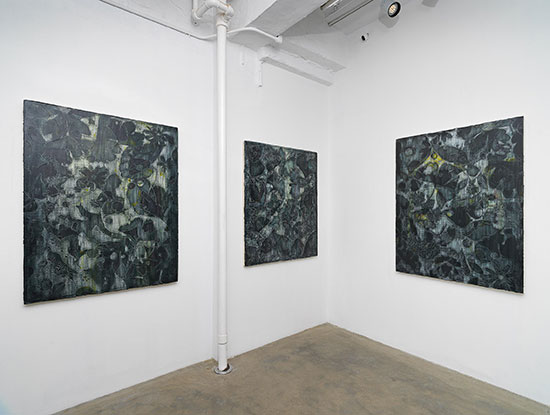 Pareidolia: Jeremy Stenger at Kristen Lorello - artcritical